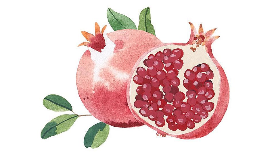 Punica Granatum Seed Oil - Weleda